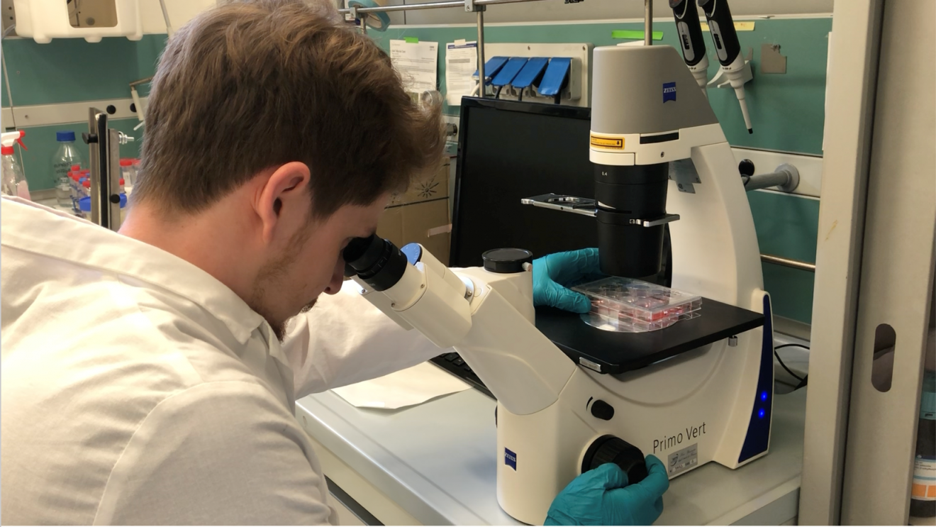 ESR 12 - Secondment @ LENS - Bio2Brain